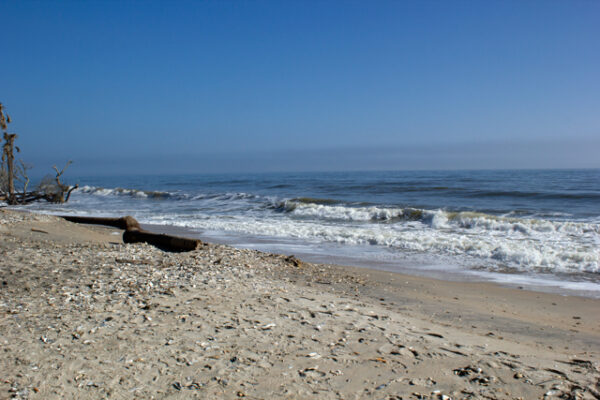 Botany Bay - Edisto Island, South Carolina