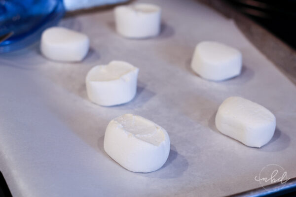 How to Roast Marshmallows Indoors